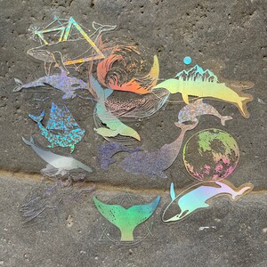 20 Vinyl Holographic Marine Sticker Pack, Waterproof Reusable Set ...