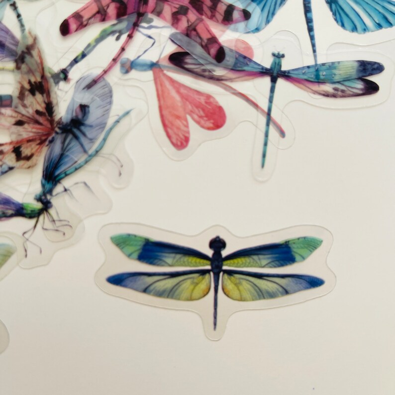 20 Vinyl Transparent Dragonfly Sticker Pack Waterproof - Etsy