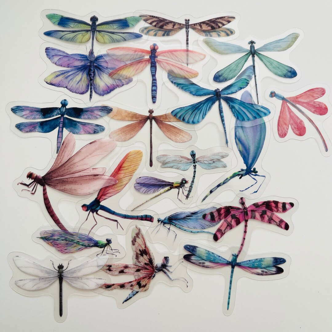 20 Vinyl Transparent Dragonfly Sticker Pack, Waterproof Reusable Set ...