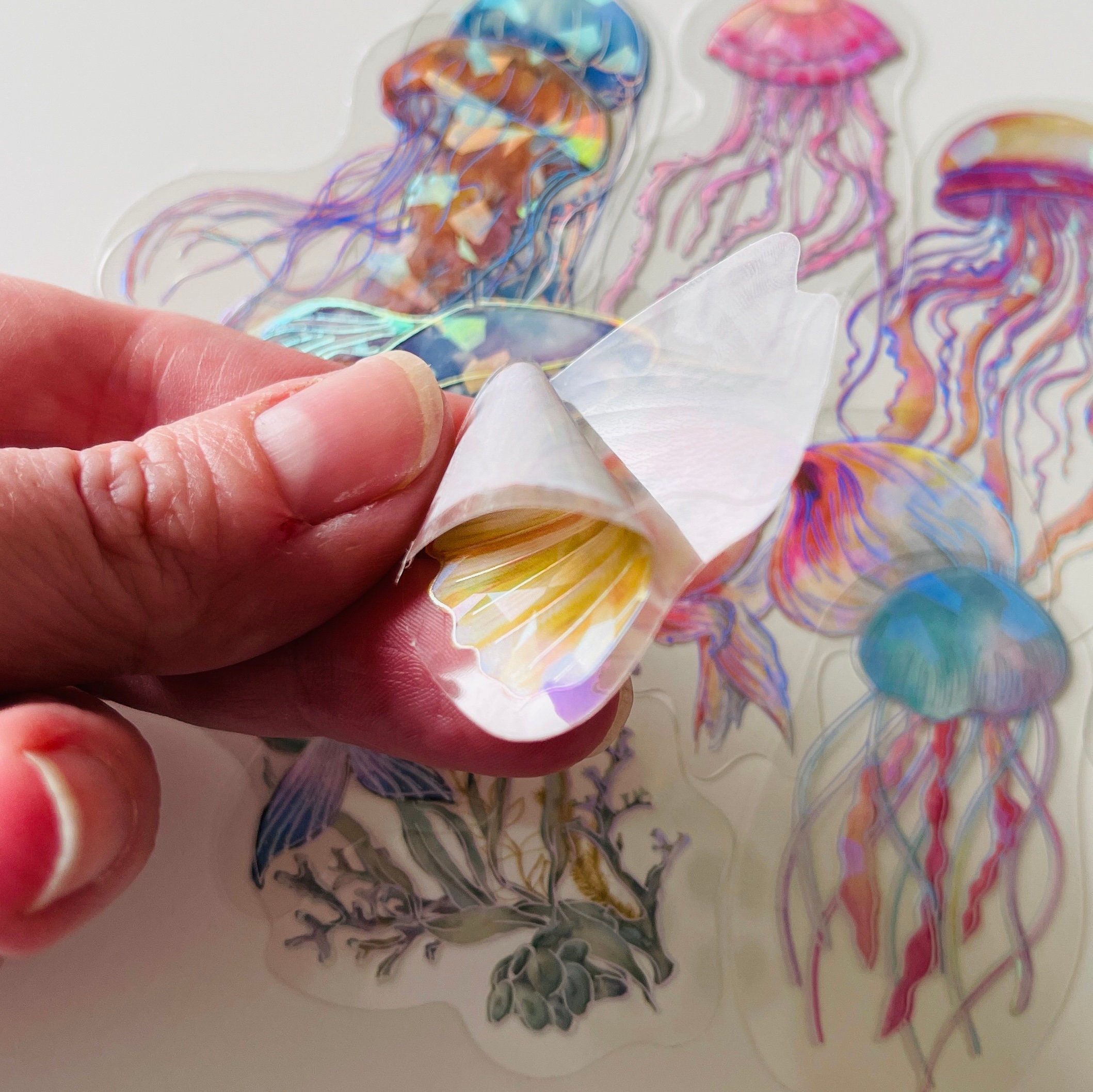 10 Vinyl Shiny Sea Creature Sticker Pack Waterproof Reusable - Etsy