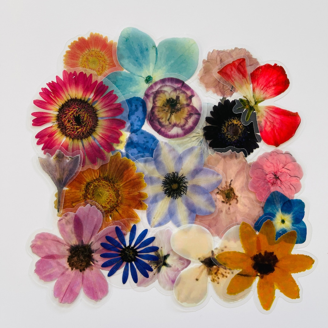 20 Vinyl Transparent Pressed Flower Sticker Pack, Waterproof Reusable ...