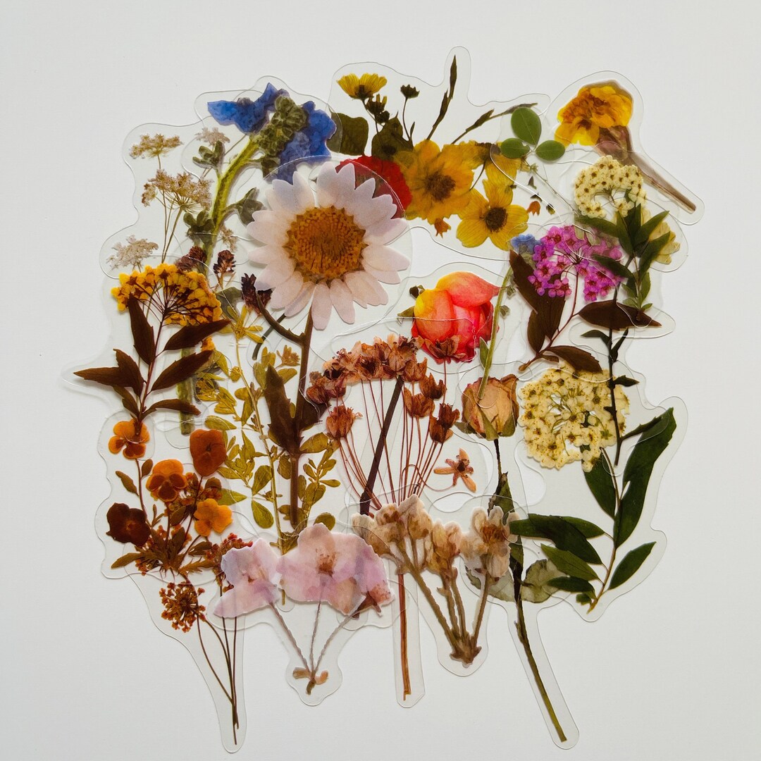 20 Vinyl Transparent Wildflower Sticker Pack, Waterproof Reusable Set ...