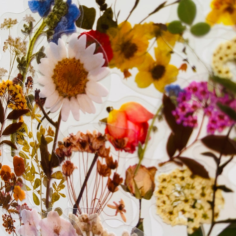 20 Vinyl Transparent Wildflower Sticker Pack Waterproof - Etsy
