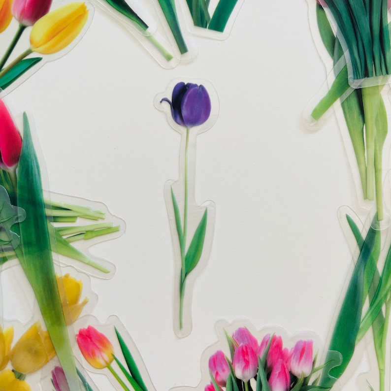 20 Vinyl Transparent Tulip Sticker Pack Waterproof Reusable - Etsy
