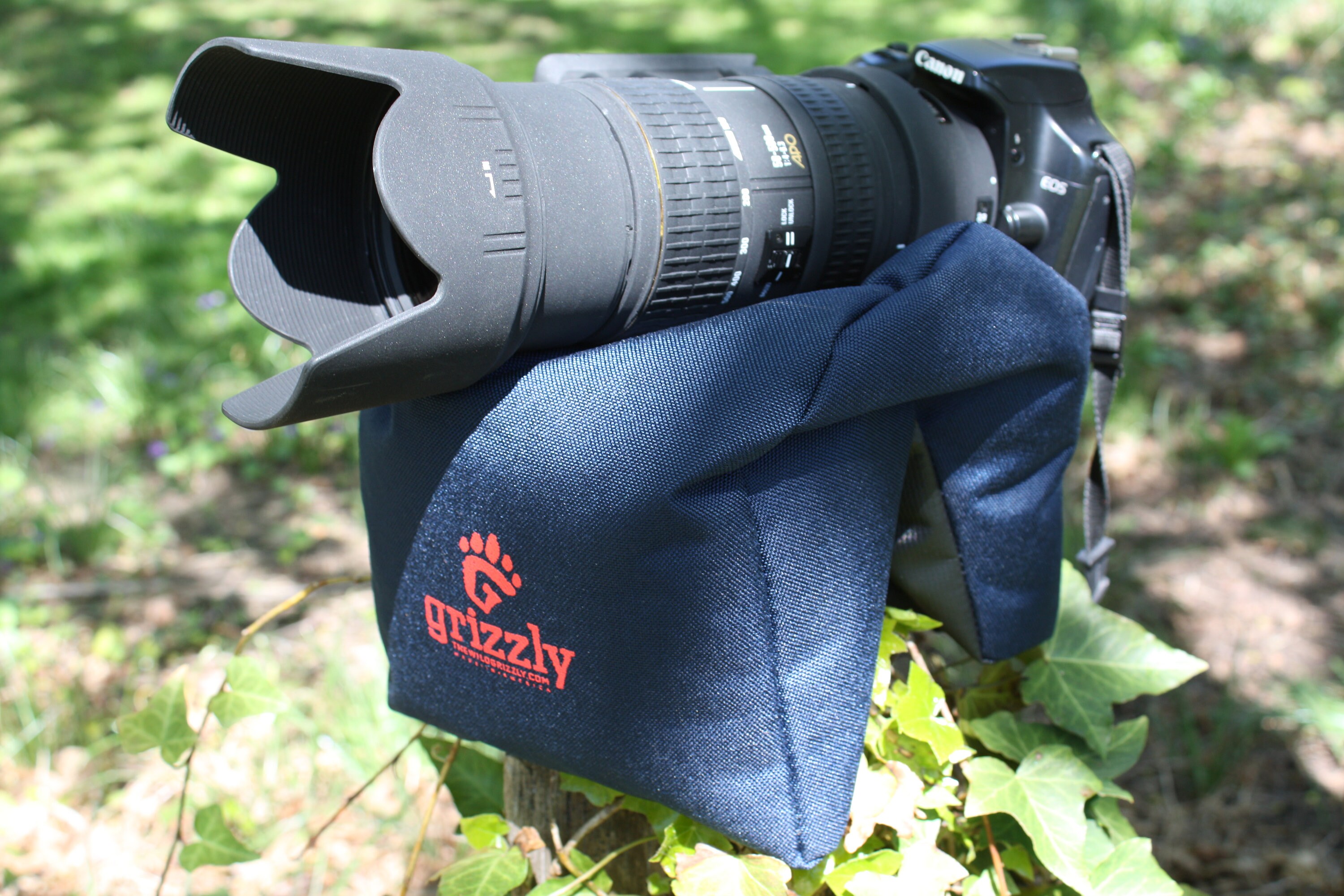 Grizzly Camera Bean Bag (large-blue), Photography Bean Bag, Video ...