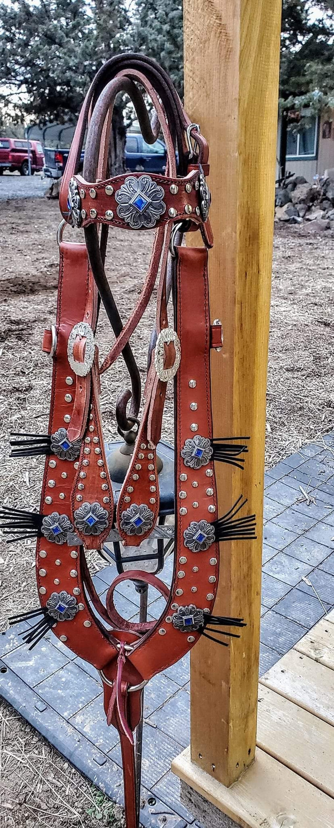 Custom Tack Pulling Collar With Matching Headstall and Reins. - Etsy