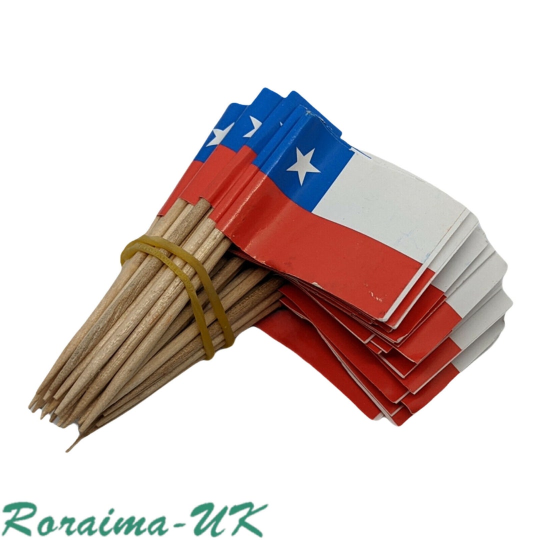 50 Pieces Chile Toothpicks MINI Flags Paper Sticks Party - Etsy