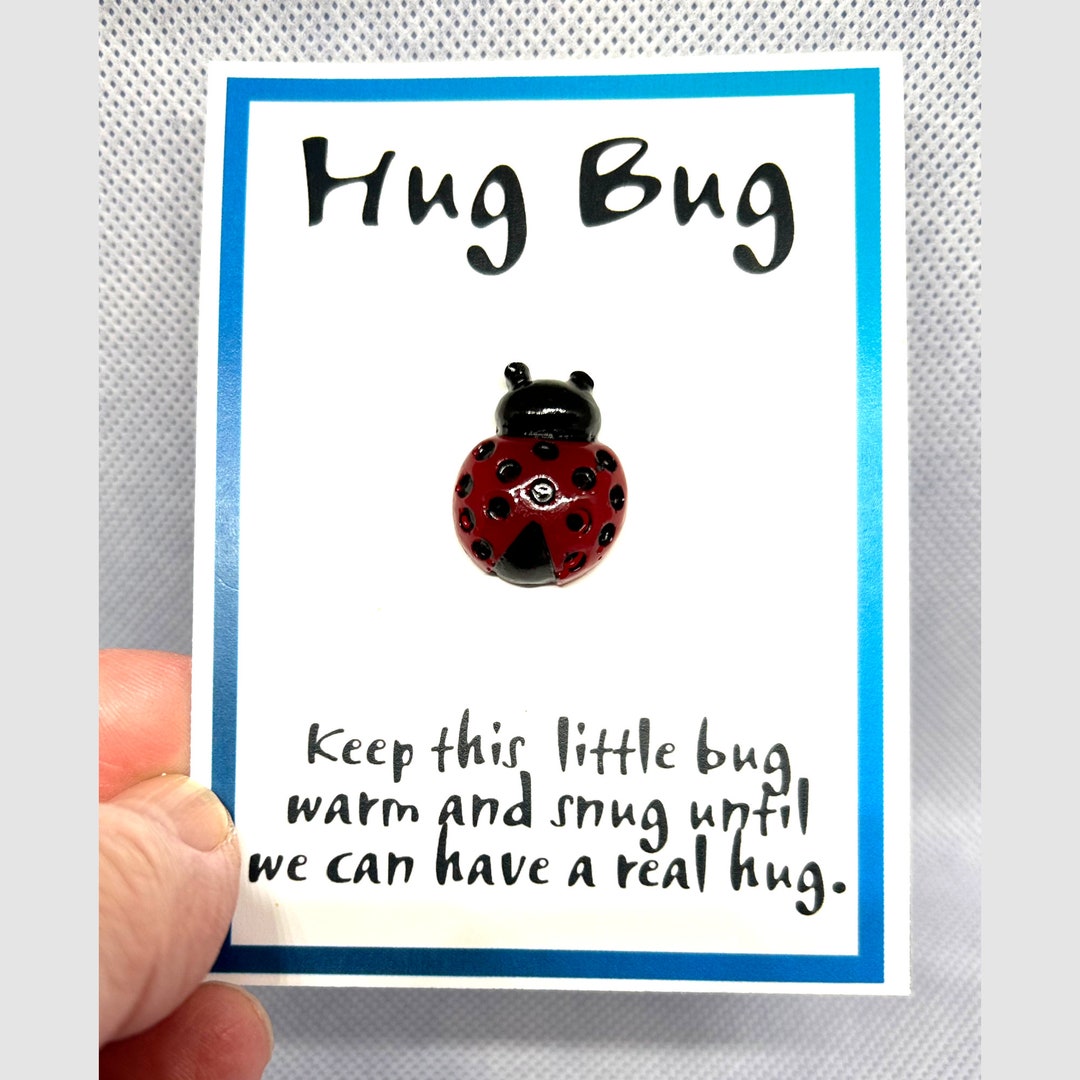 Hug Bug Ladybug Missing You Gift Sending A Hug Birthday Mom Daughter ...