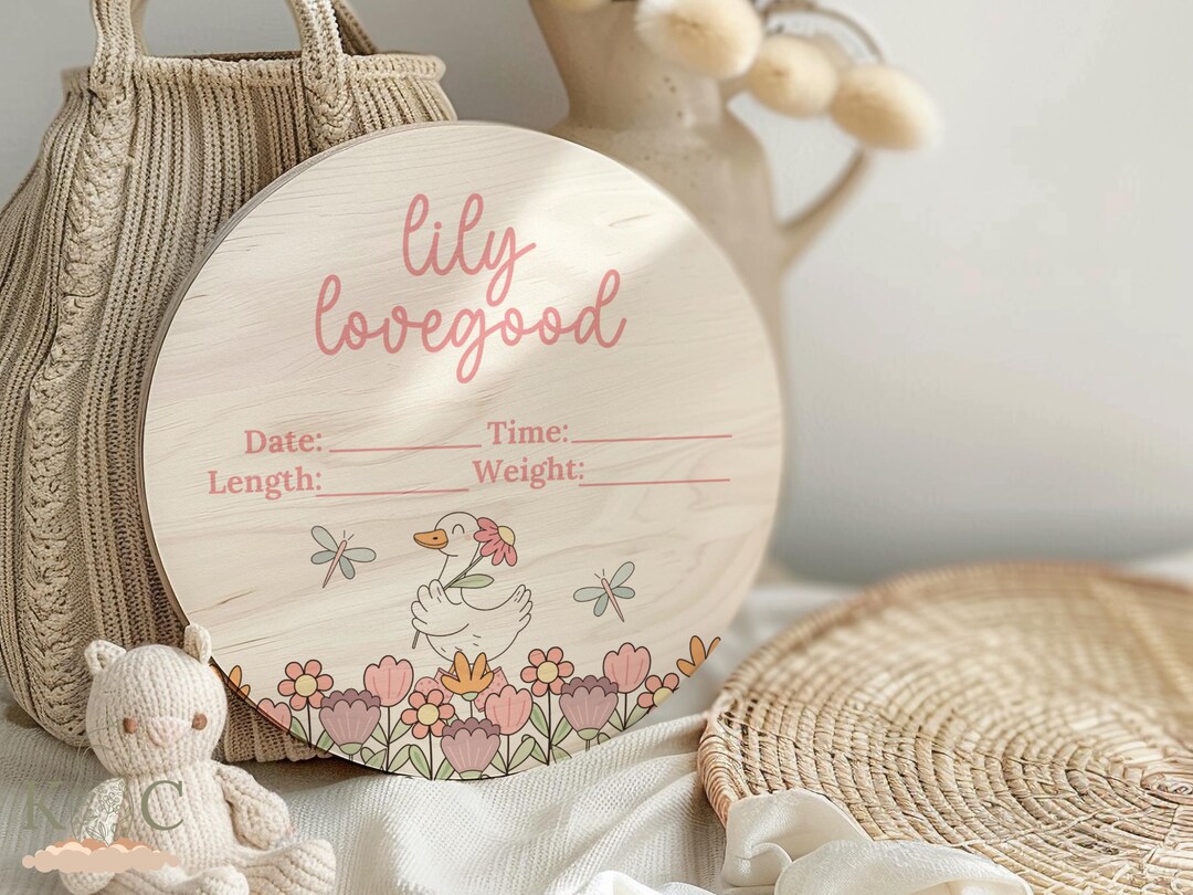 Silly Goose Birth Stat Sign, Geese Baby Milestone Marker Keepsake ...