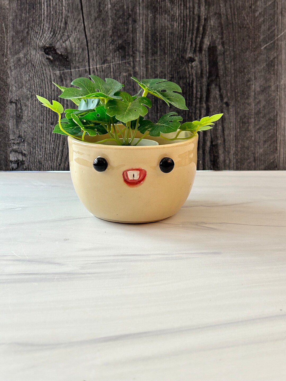 Happy Face Small White Ceramic Planter - Smile With Teeth Version - Etsy