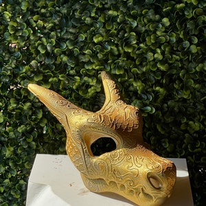 Ornamental Charizard Skull - Etsy