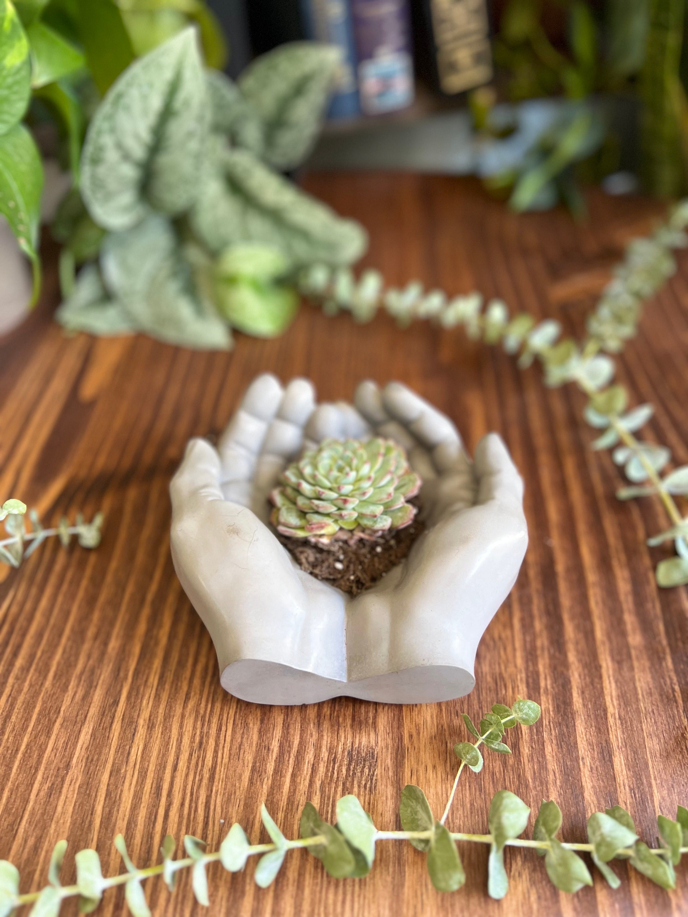 Cupped Hands Planter Houseplant Cement Planter Pot Catch All Jewelry ...