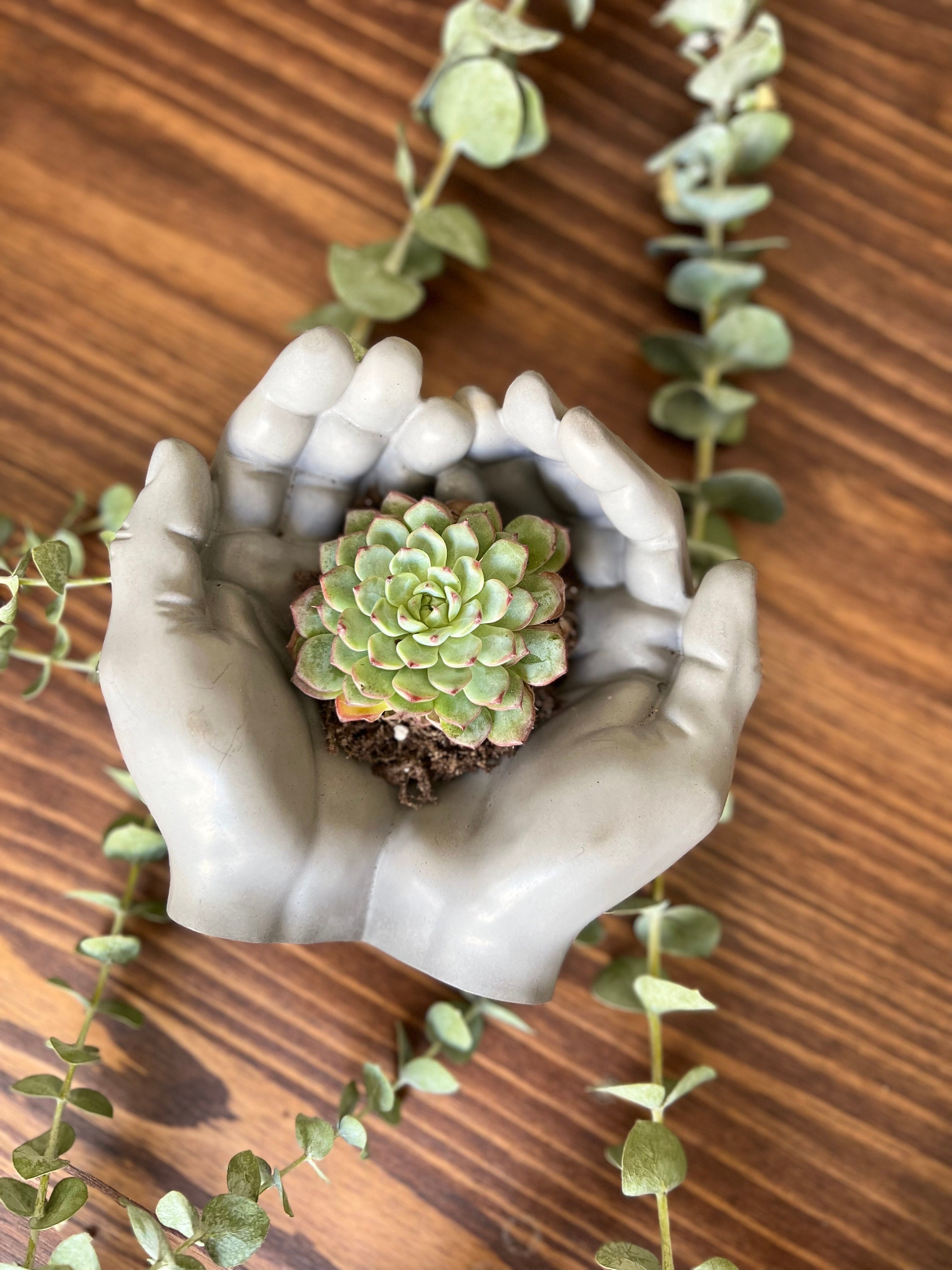 Cupped Hands Planter Houseplant Cement Planter Pot Catch All Jewelry ...