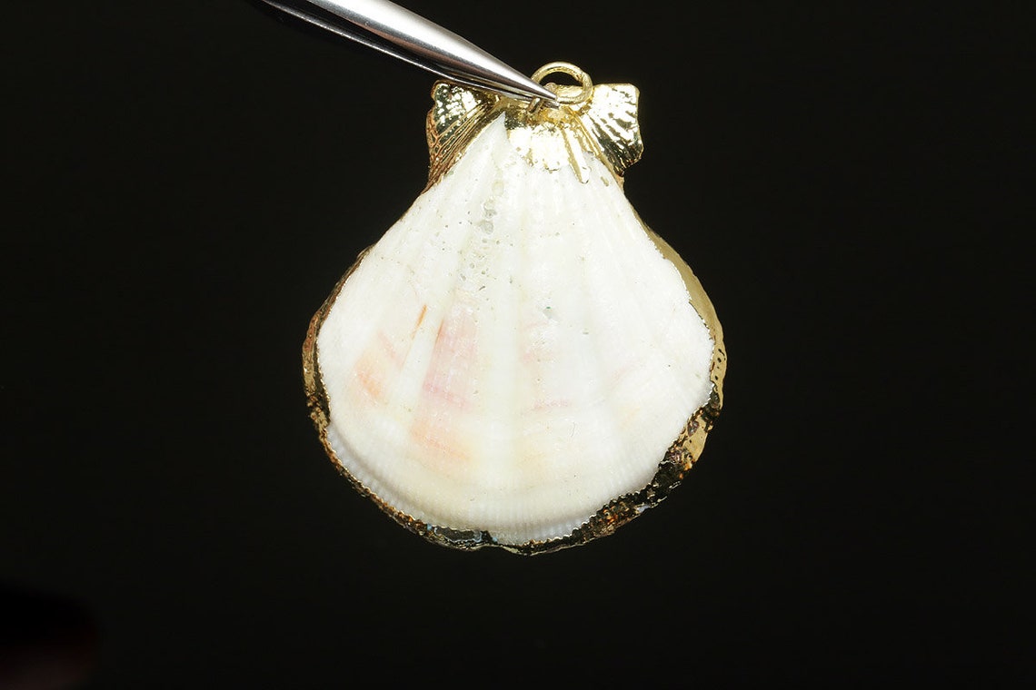 G593-2pcs-real Shell-gold Scallop Shell-gold Plated Nature | Etsy