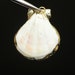 G593-2pcs-real Shell-gold Scallop Shell-gold Plated Nature - Etsy