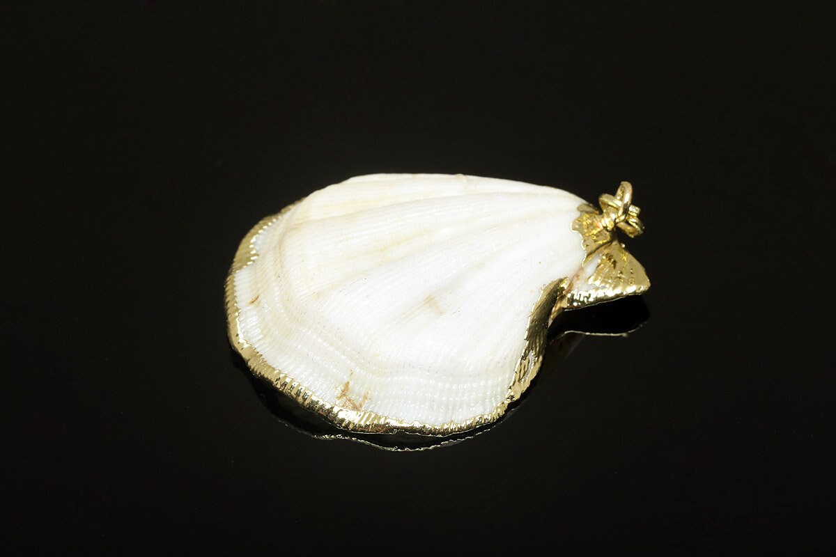 G593-2pcs-real Shell-gold Scallop Shell-gold Plated Nature | Etsy