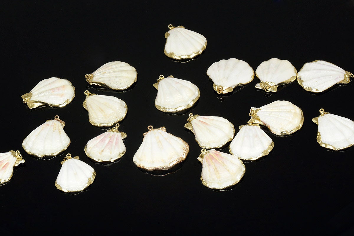 G593-2pcs-real Shell-gold Scallop Shell-gold Plated Nature | Etsy