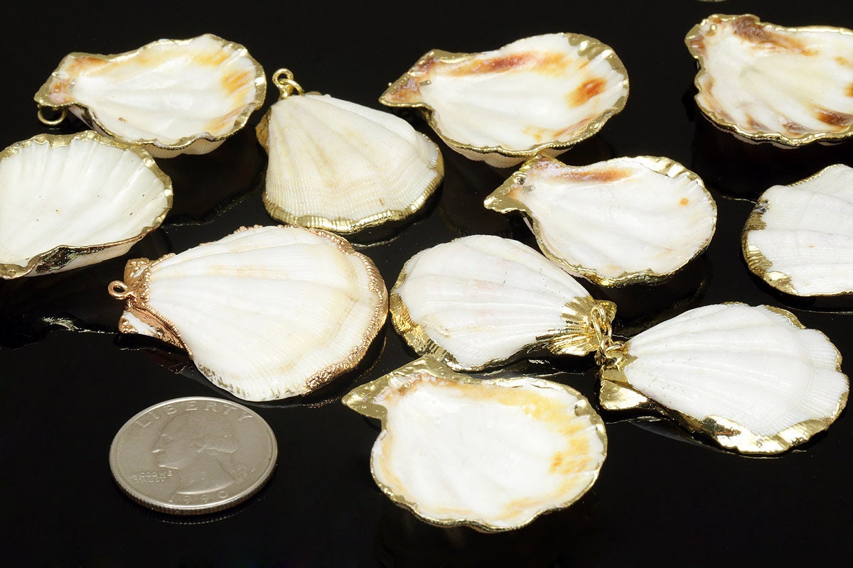 G593-2pcs-real Shell-gold Scallop Shell-gold Plated Nature | Etsy