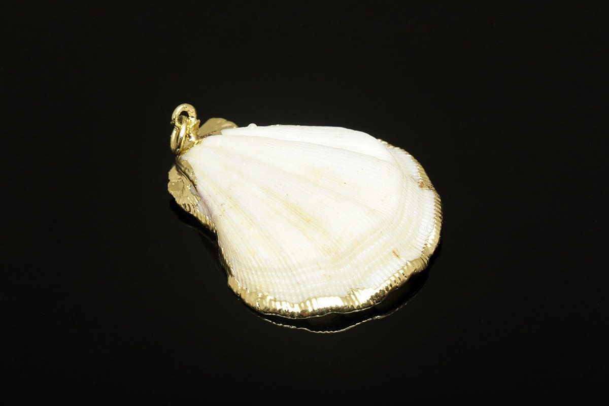 G593-2pcs-real Shell-gold Scallop Shell-gold Plated Nature | Etsy