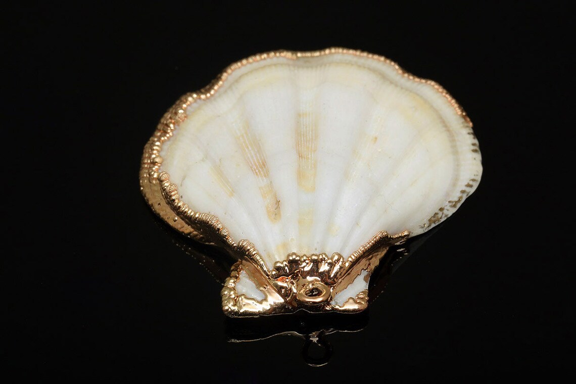 G593-2pcs-real Shell-gold Scallop Shell-gold Plated Nature | Etsy