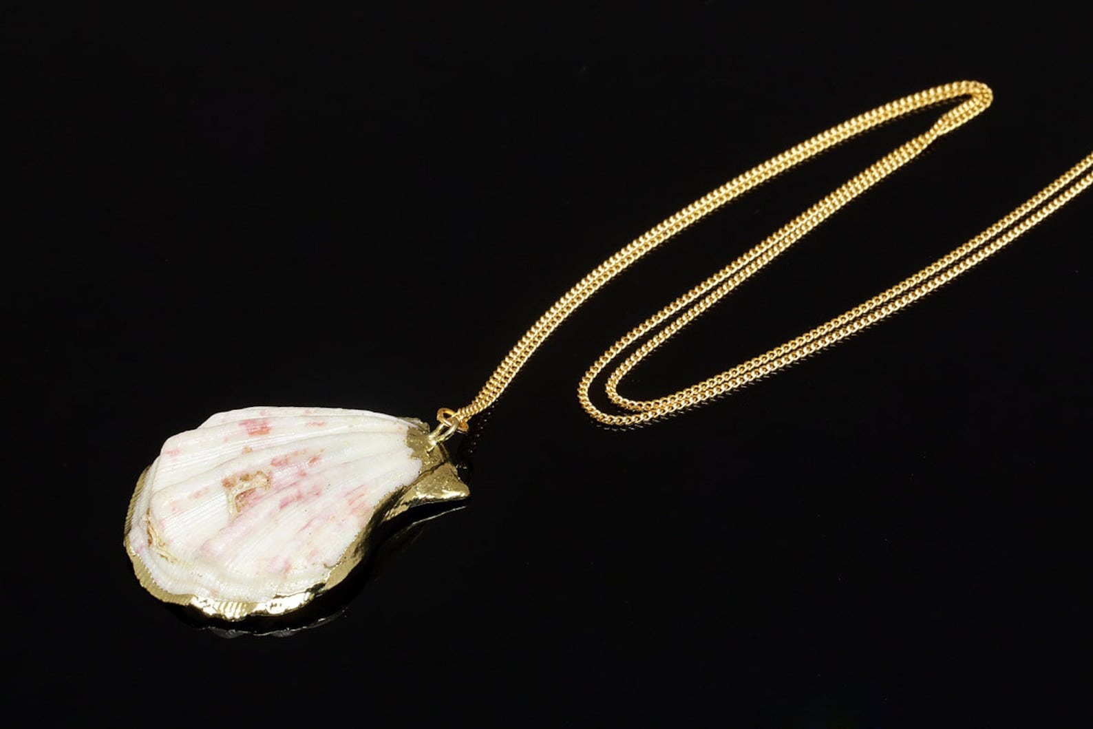 G593-2pcs-real Shell-gold Scallop Shell-gold Plated Nature | Etsy