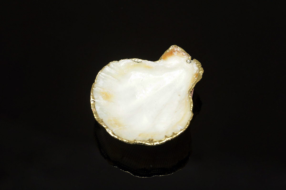 G593-2pcs-real Shell-gold Scallop Shell-gold Plated Nature | Etsy