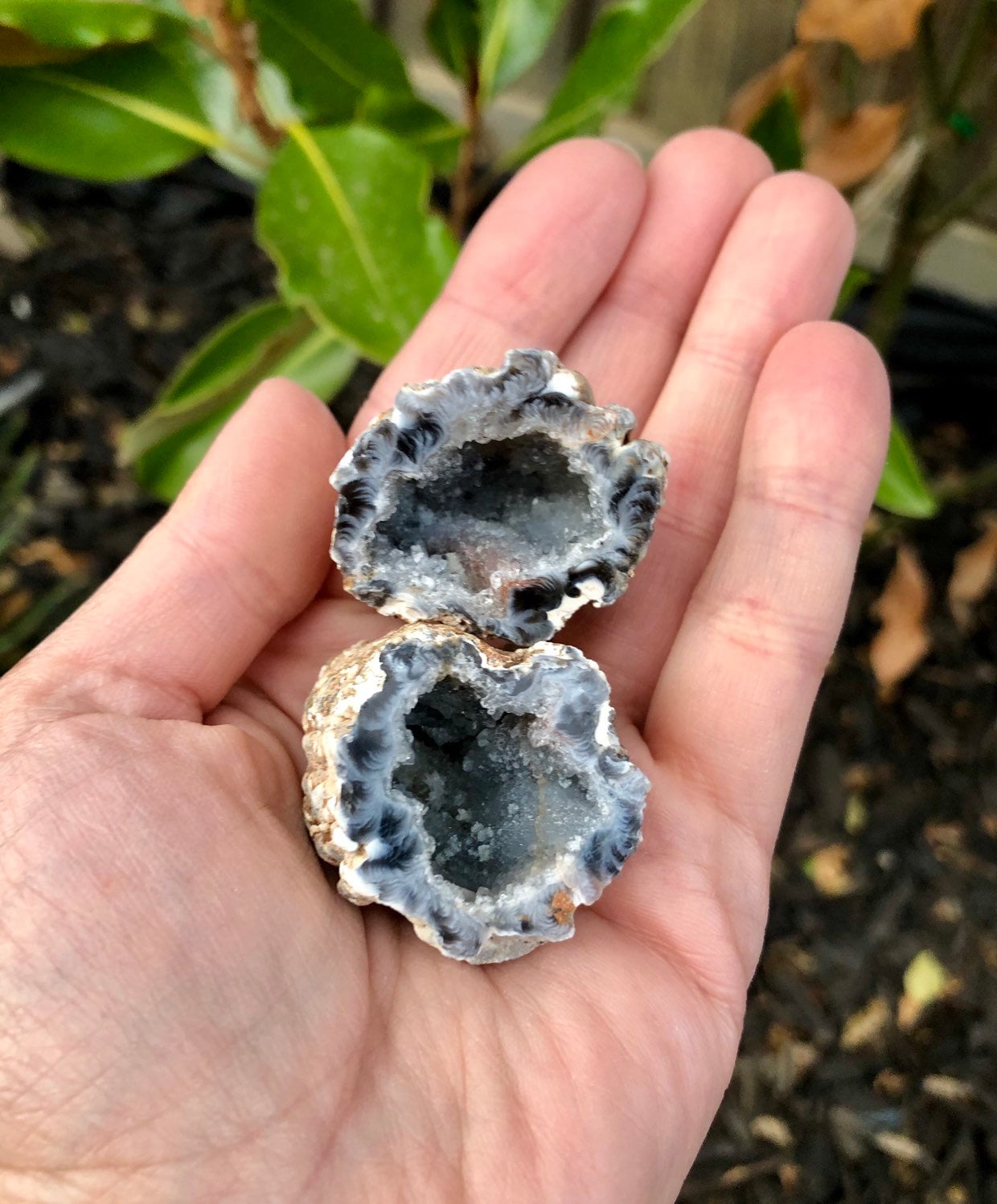 Oco Agate Geode Pair