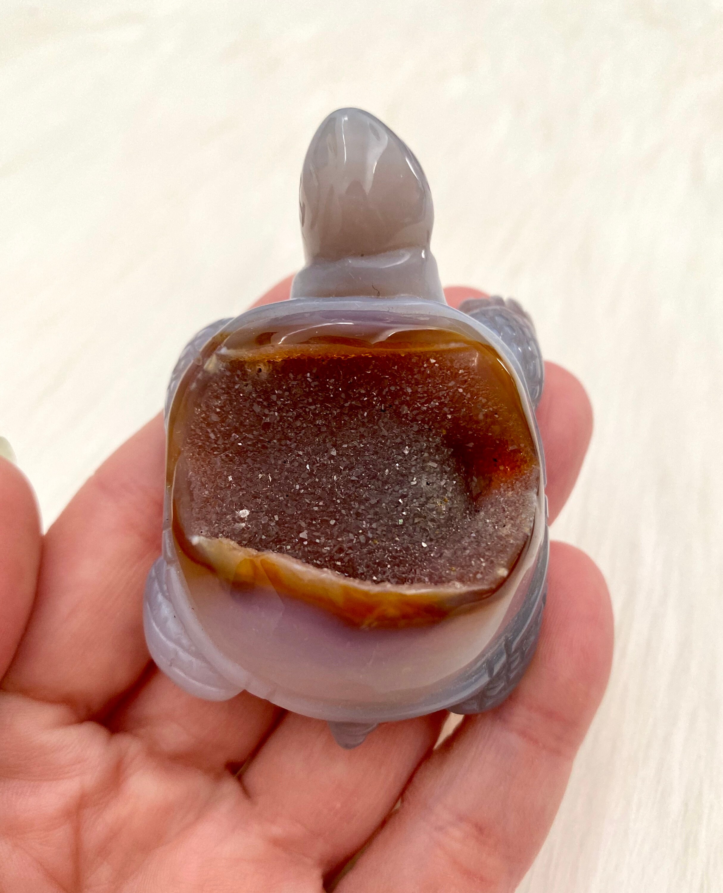 Agate Turtles with Carnelian Druzy