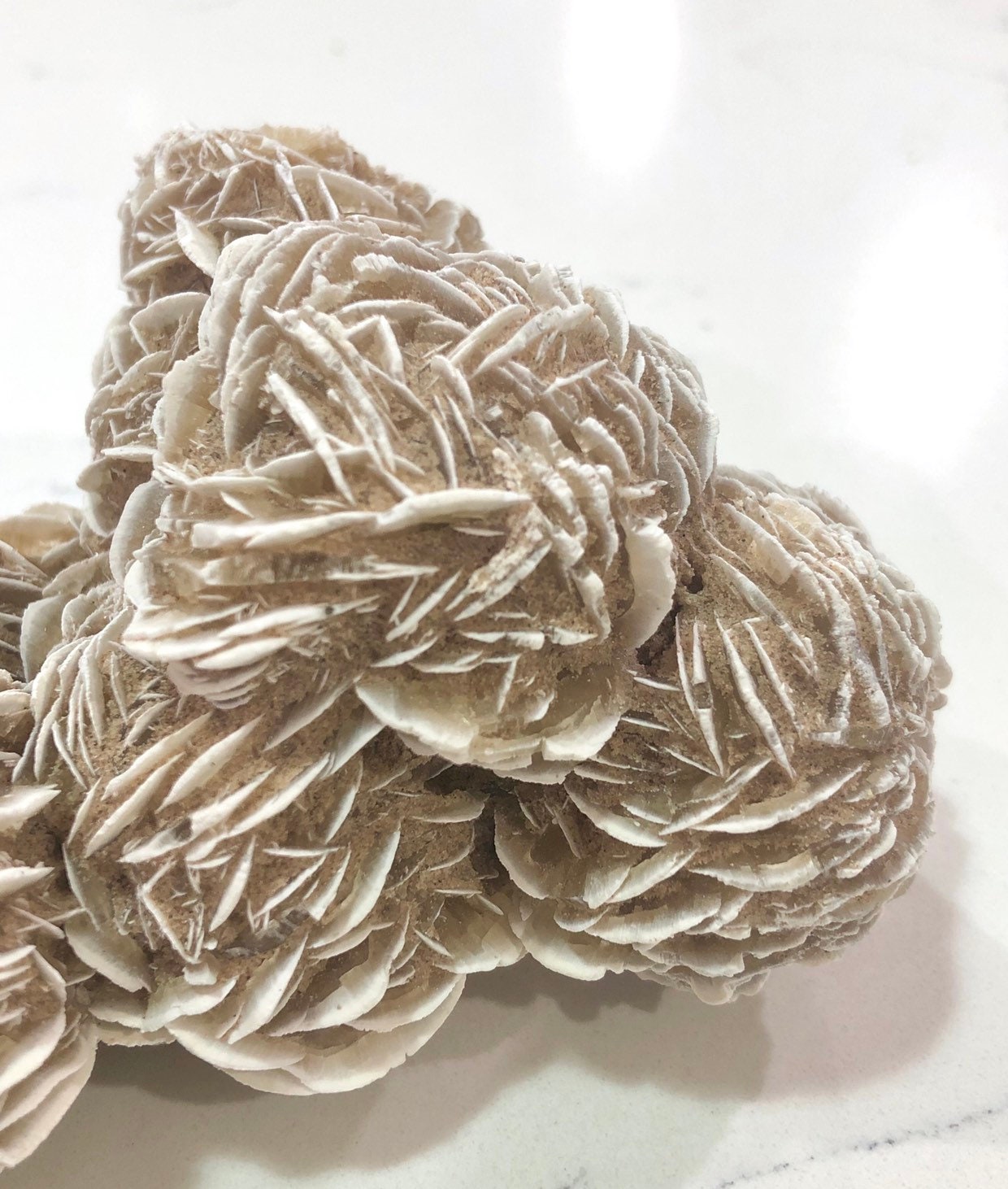 Desert Rose Gypsum Cluster