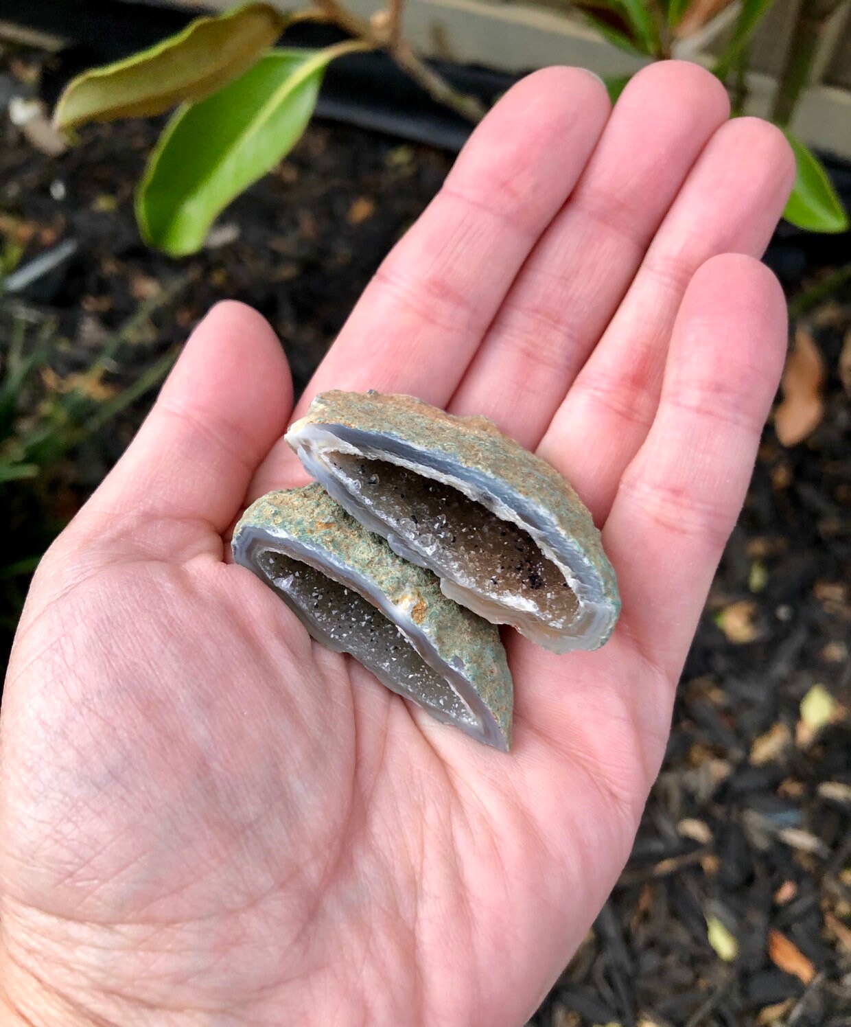 Oco Agate Geode Pair