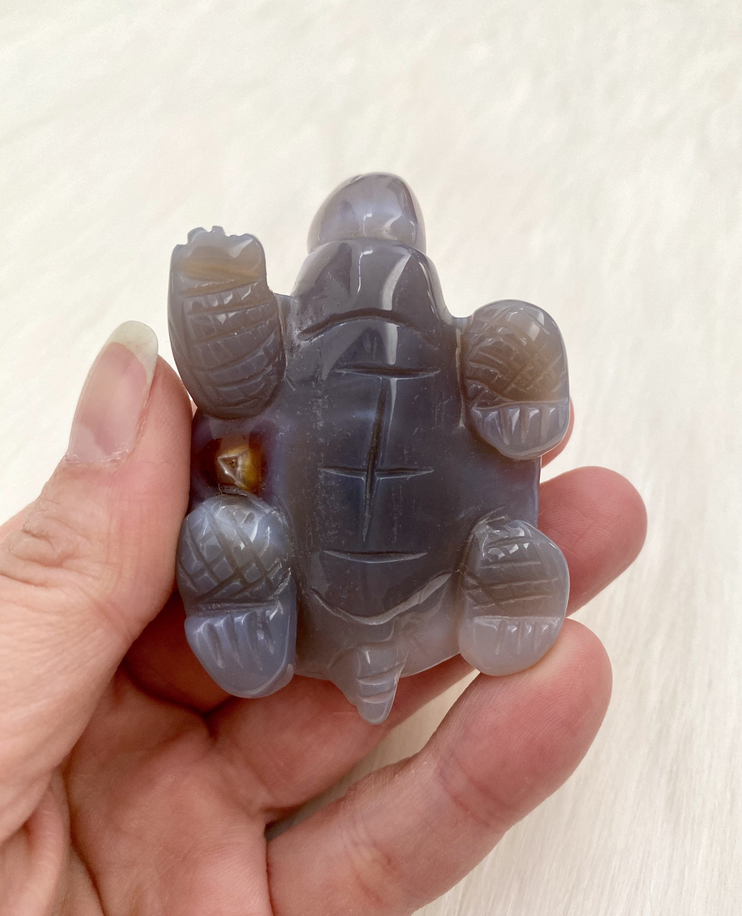 Agate Turtles with Carnelian Druzy