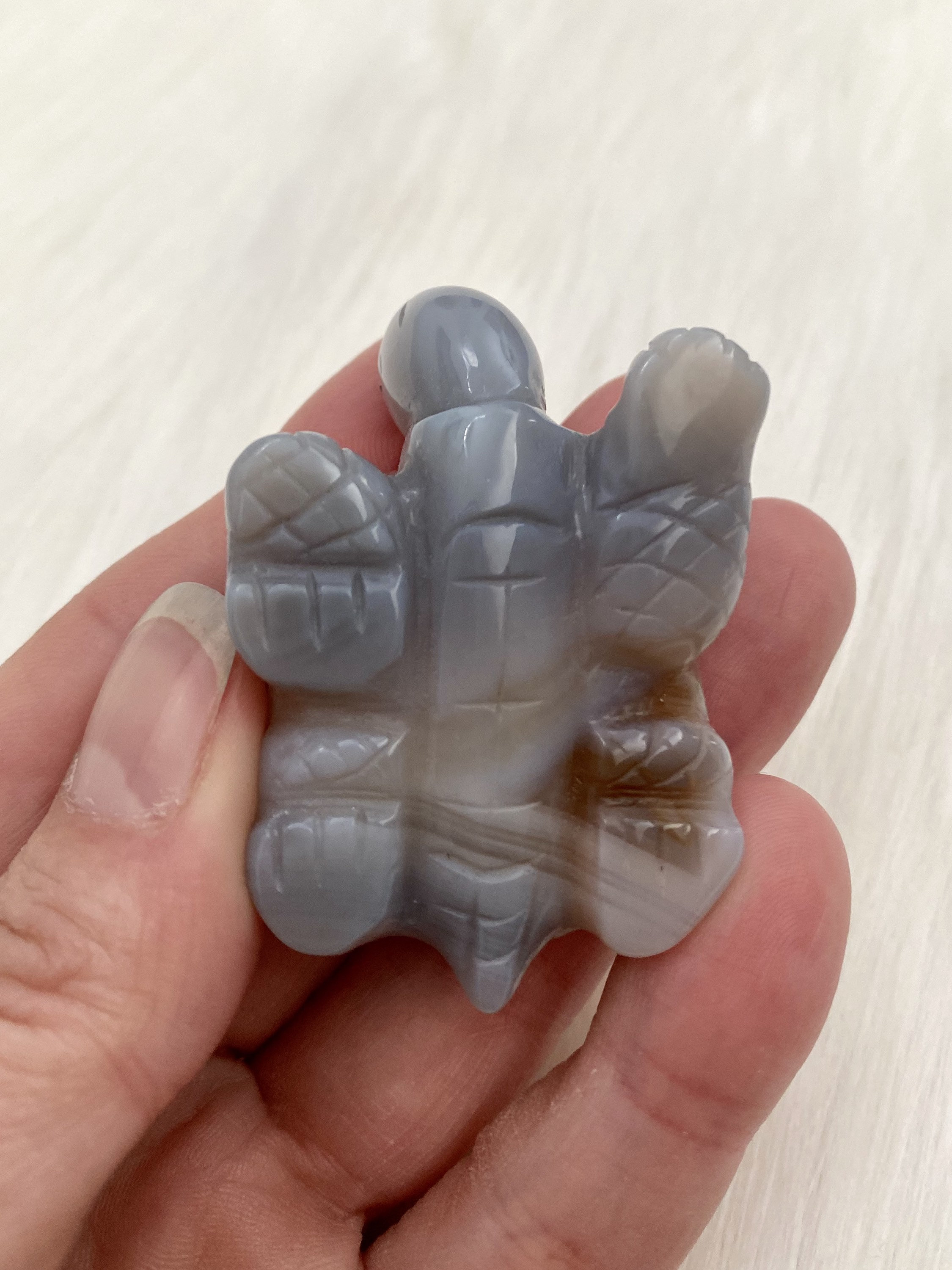 Agate Turtles with Carnelian Druzy