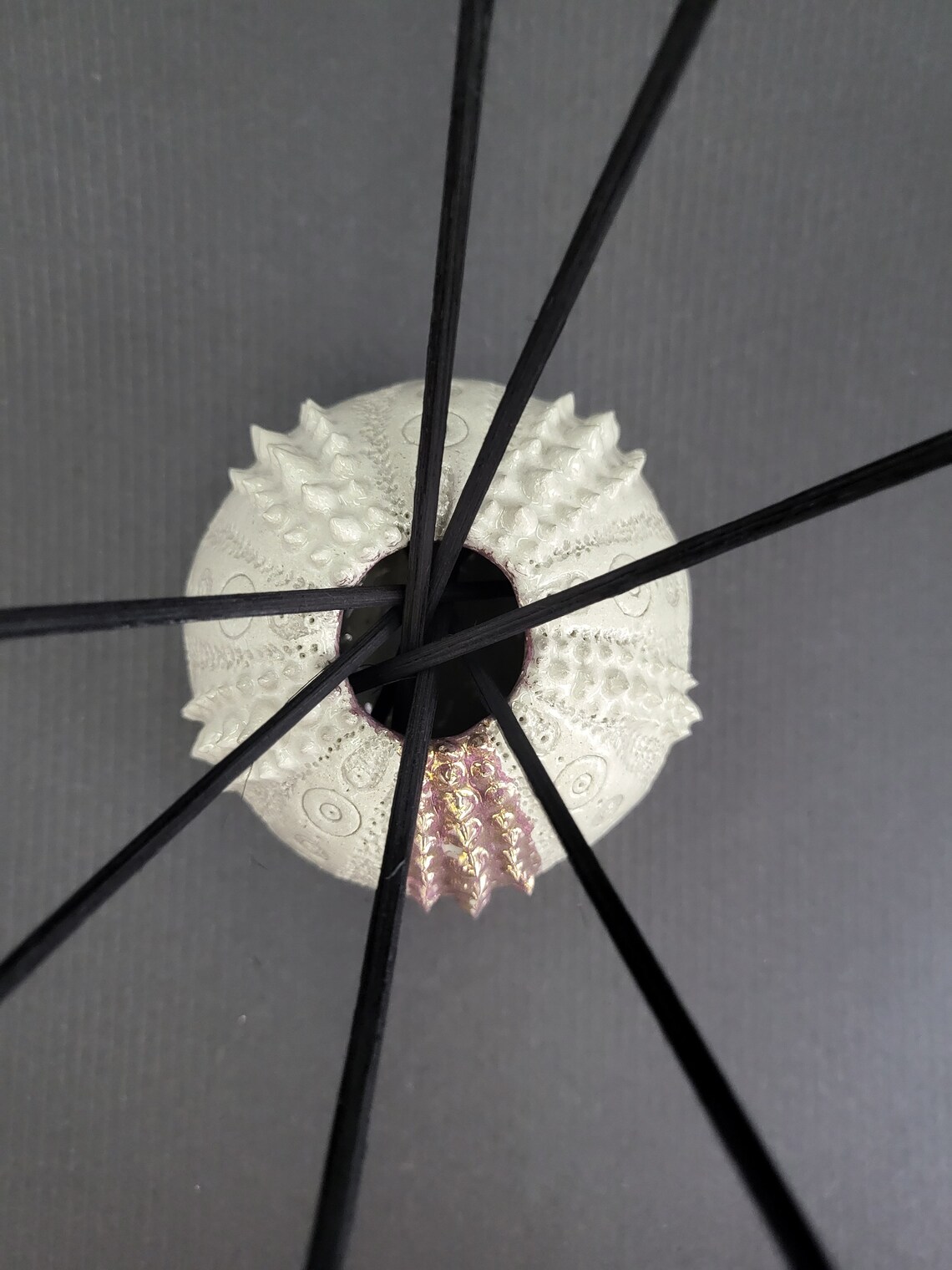 Handmade Ceramic Reed Diffuser Vase – Sea Urchin Inspired Aroma Holder ...