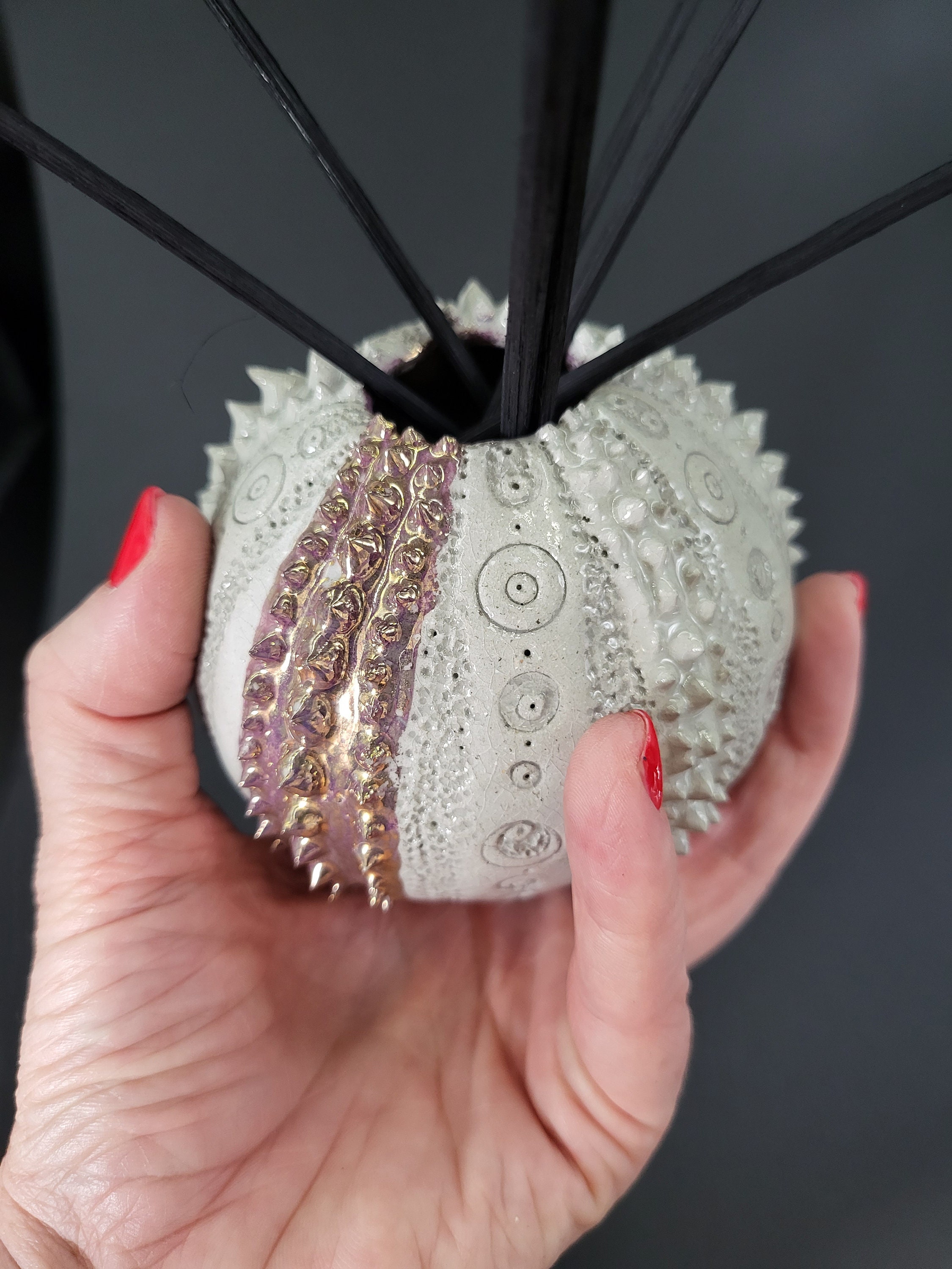 Home Odor's Vase Sea Urchin - Etsy