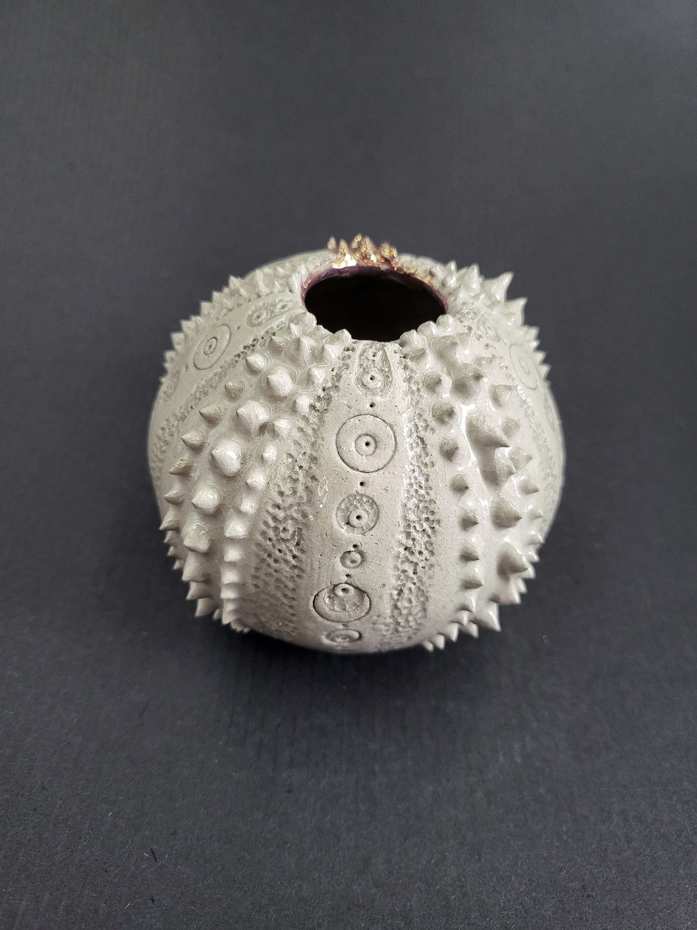Home Odor's Vase Sea Urchin - Etsy