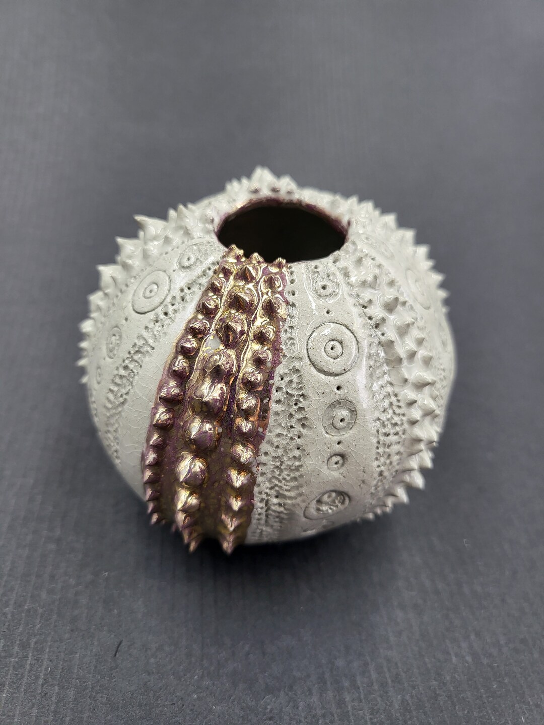 Home Odor's Vase Sea Urchin - Etsy