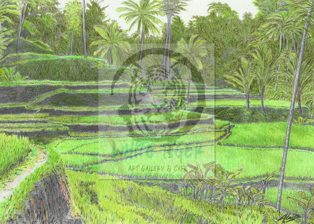 Drawing of the Rice Terraces in Ubud, Bali - Etsy