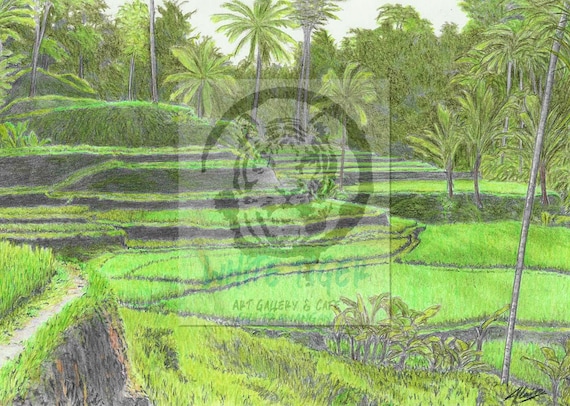 Terrace Farming Drawing