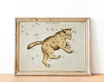 Ursa Major Print - Etsy