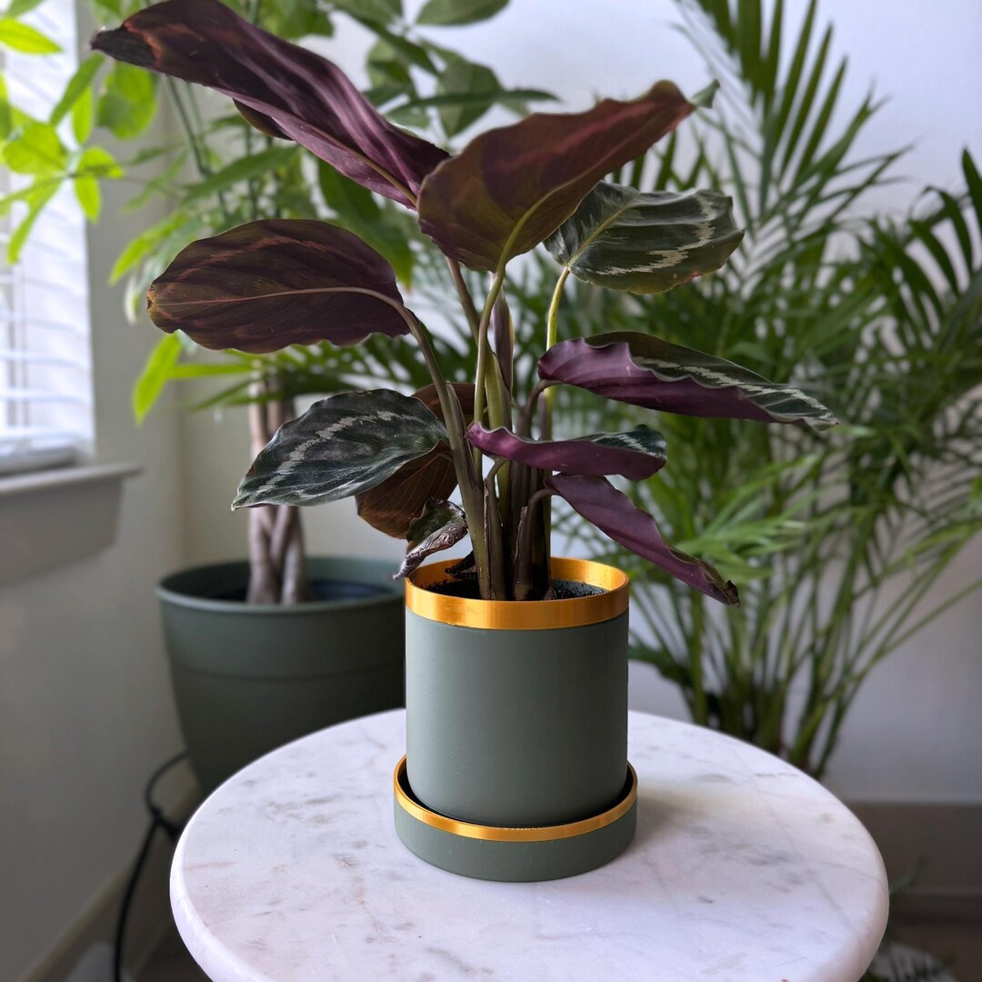 Modern Green and Gold Planter With Drip Tray Bold Colors Plant Pot With ...