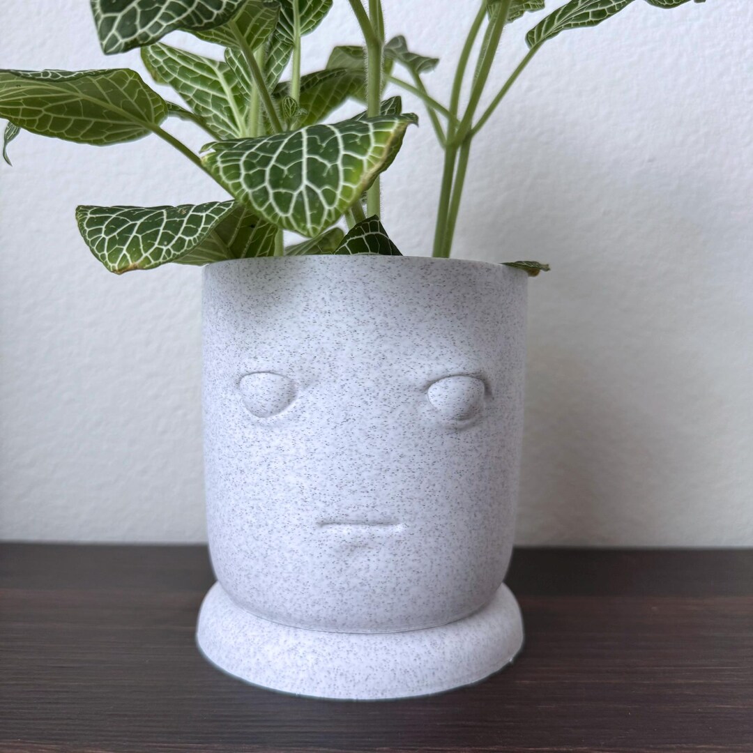 Grumpy Face Planter and Drip Tray - Cute Plant Pot With Stylized Face ...
