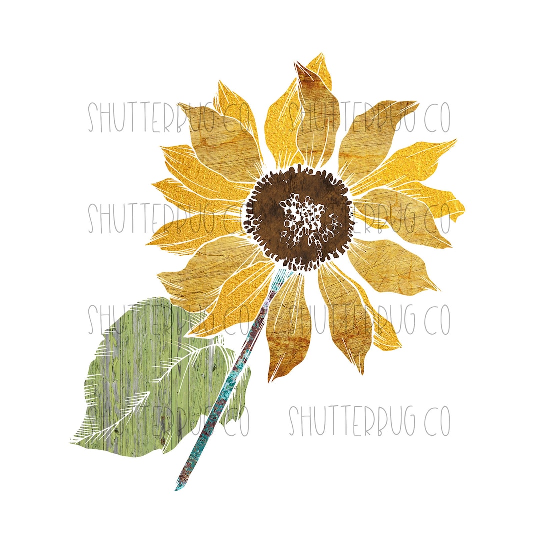 Grunge Sunflower, Flower PNG, Floral Digital Art, Print Sublimation ...