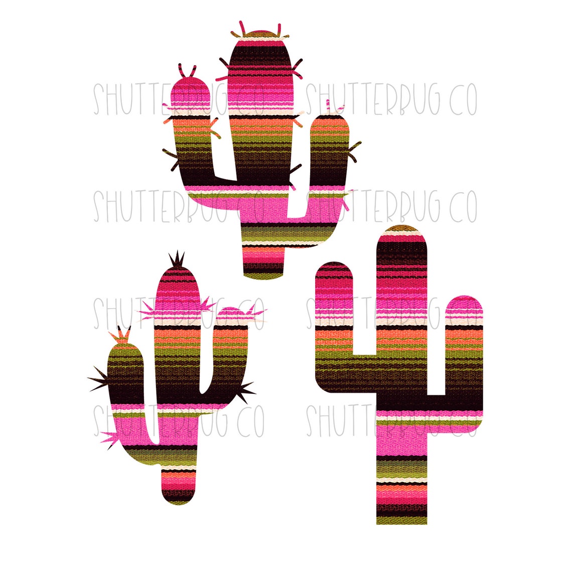 Serape and Cactus Digital Art Marquee, Serape Pattern Background ...