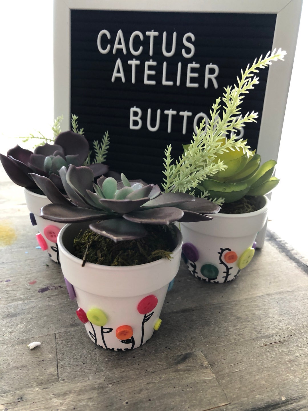 3 Small, Buttons Decorated, Cactus and Succulents Pots, Planters - Etsy