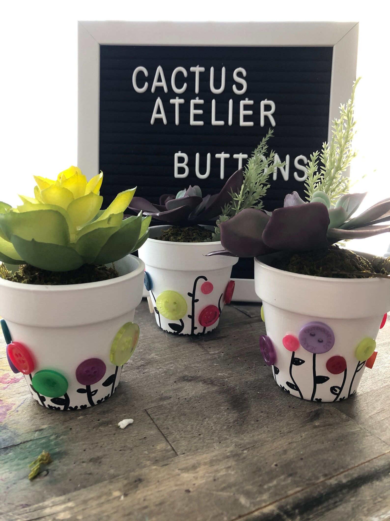 3 Small buttons Decorated Cactus and Succulents Pots | Etsy