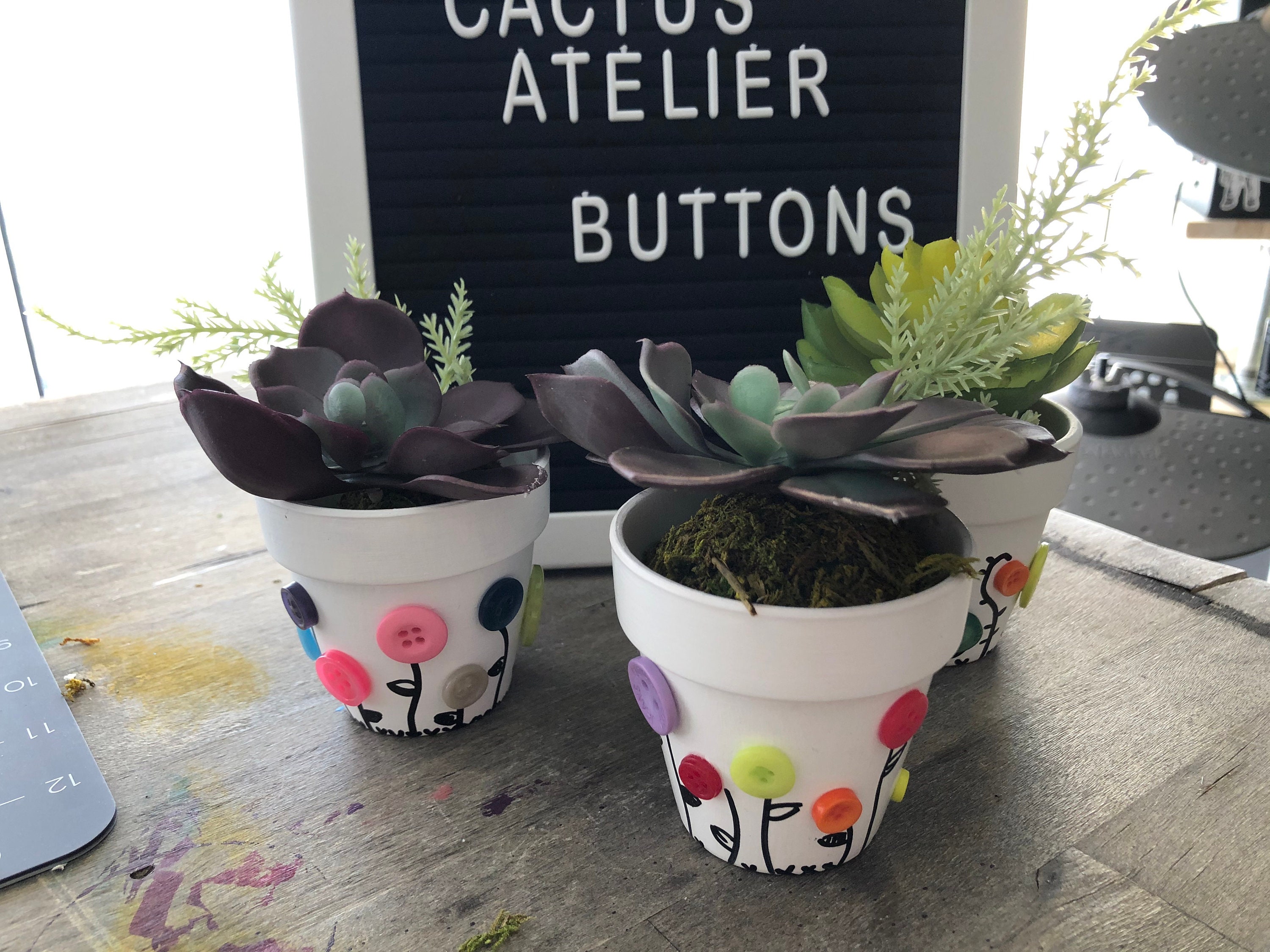 3 Small buttons Decorated Cactus and Succulents Pots | Etsy