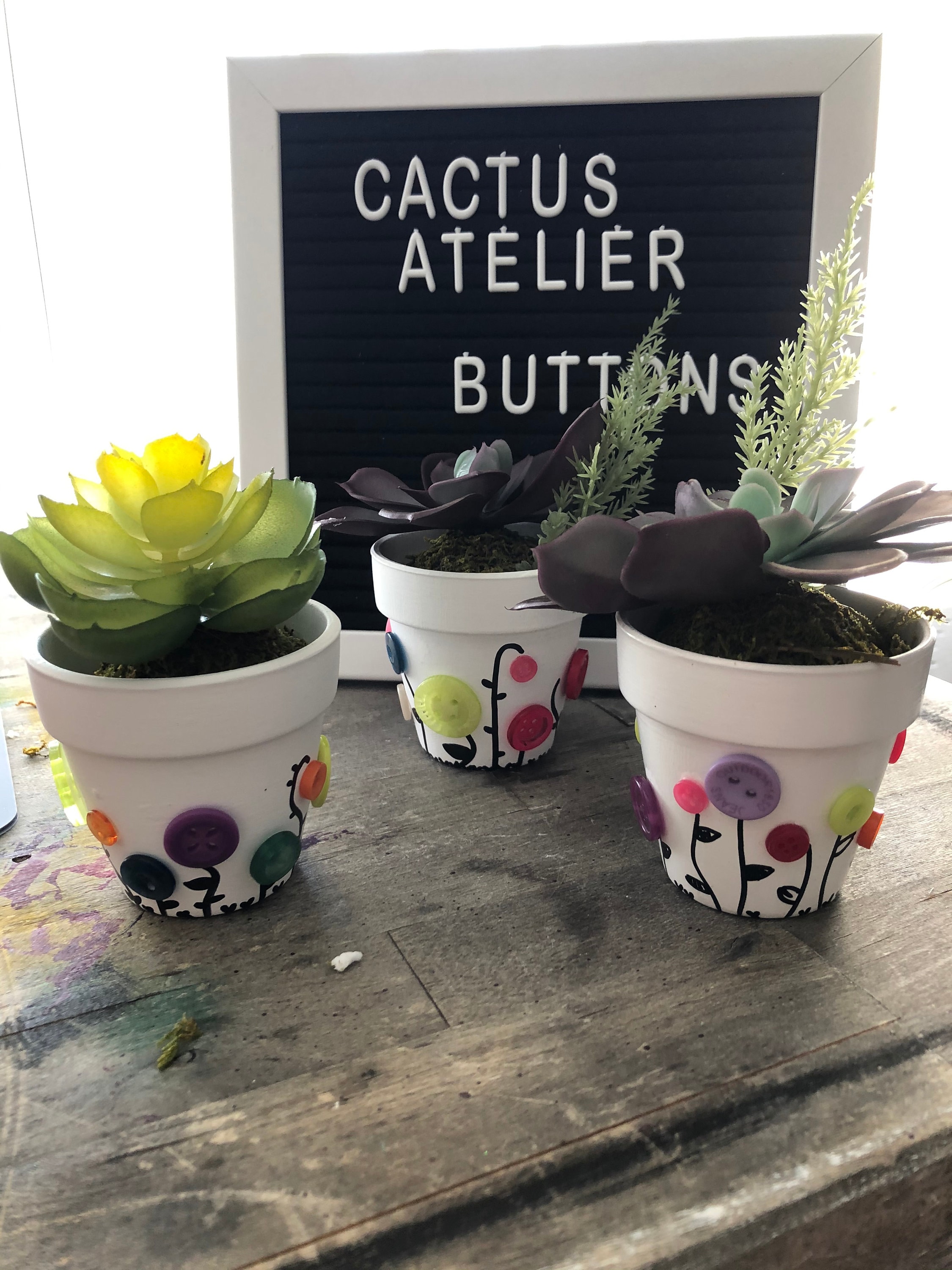 3 Small buttons Decorated Cactus and Succulents Pots | Etsy