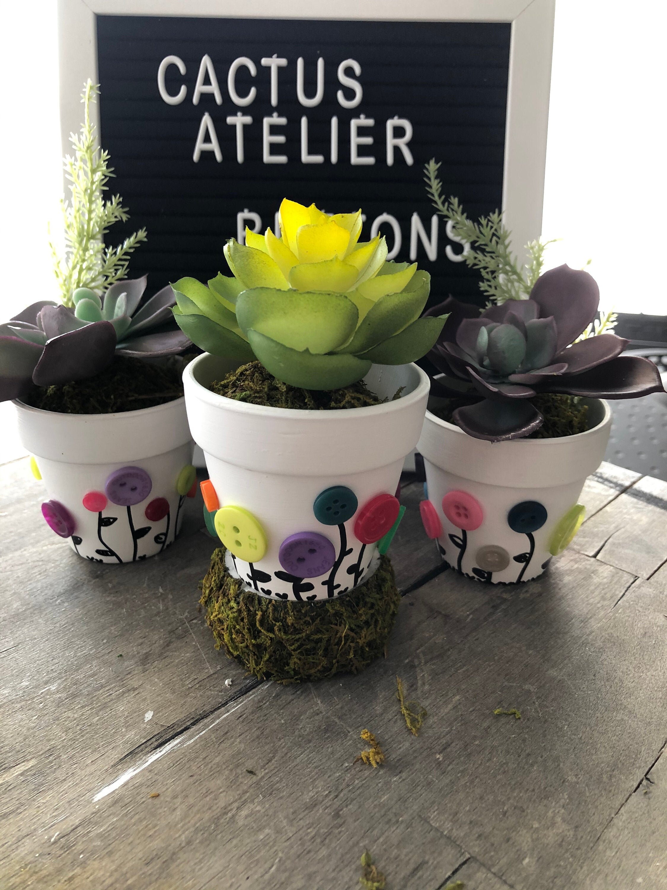 Set of 3 Hand Painted Succulent Planters Button Decor Cactus Pots Small ...