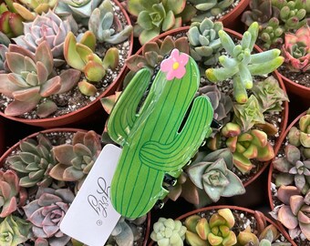 Cactus Queen Hair Claw - Etsy
