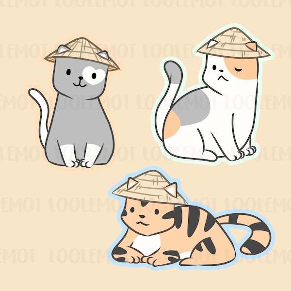 Asian Rice Hat - Etsy